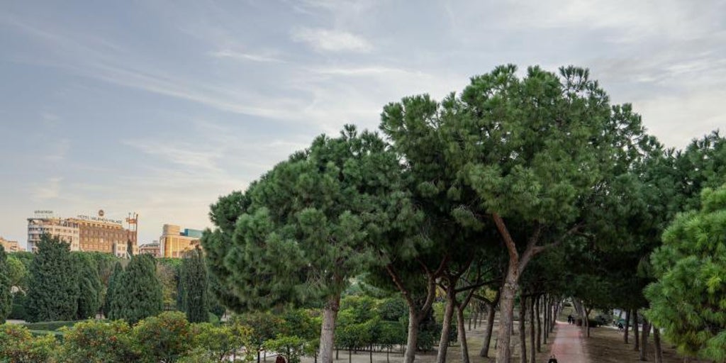 Una nueva ruta para ciclistas y peatones conectará el Jardín del Turia ...