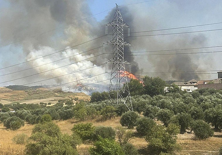 Los incendios de Loeches, El Molar y Cercedilla ponen en alerta a ...