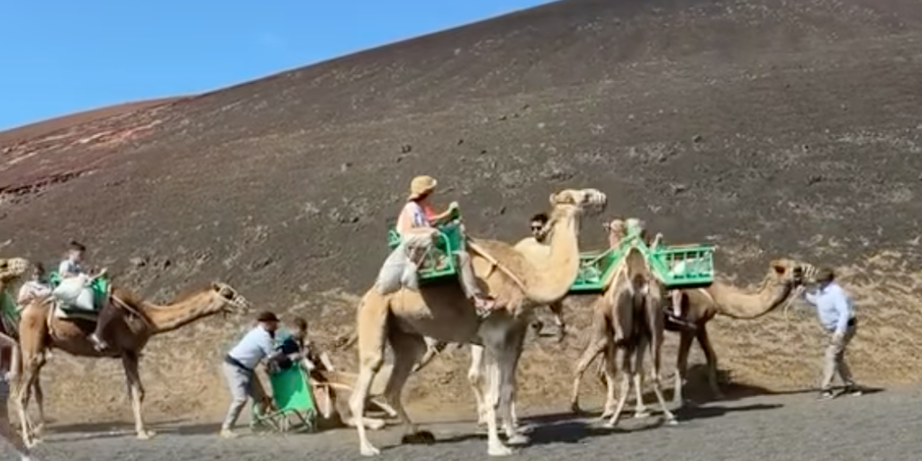 Las redes 'estallan' contra un nuevo vídeo viral de los paseos en ...