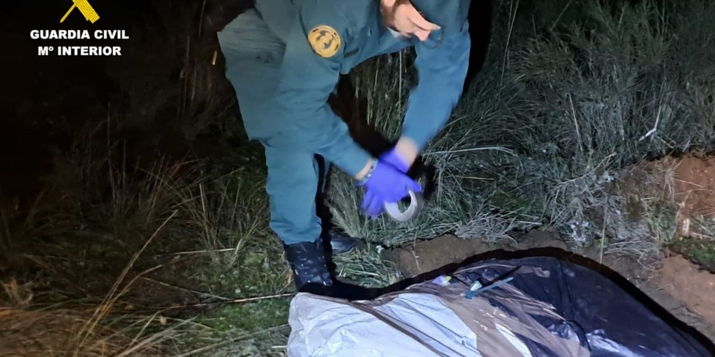 Investigado un hombre en Zamora por ahorcar a su perro colgándolo de la ...