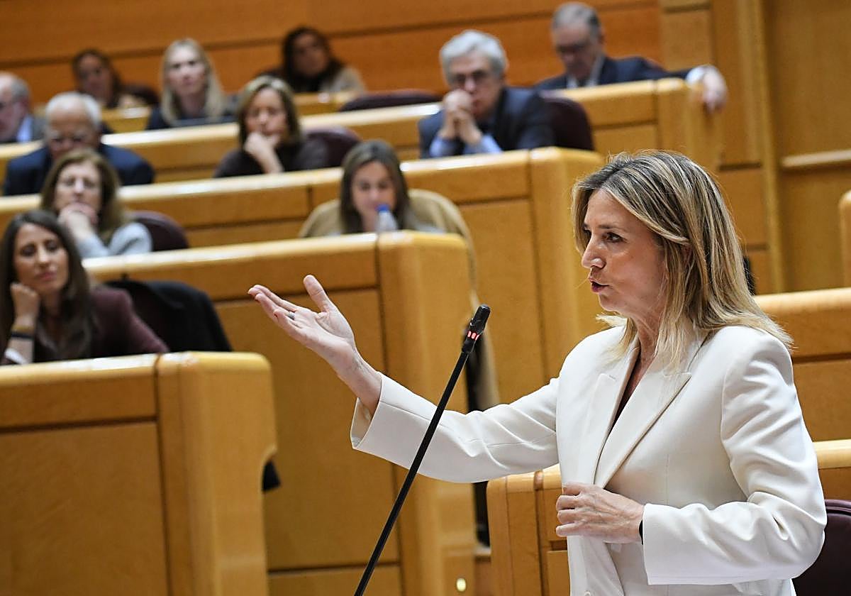 El PP impulsará una comisión parlamentaria en el Senado para evitar ...