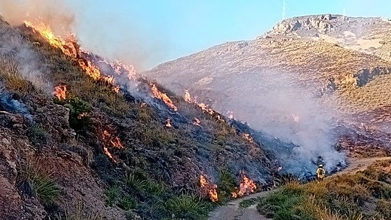 Huércal de Almería, últimas noticias - ABC