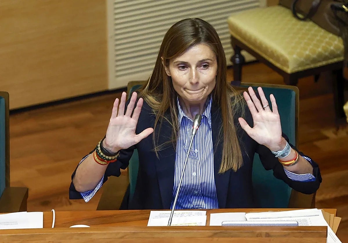 El juez ve indicios de delito en los tuits de una edil de Vox en ...