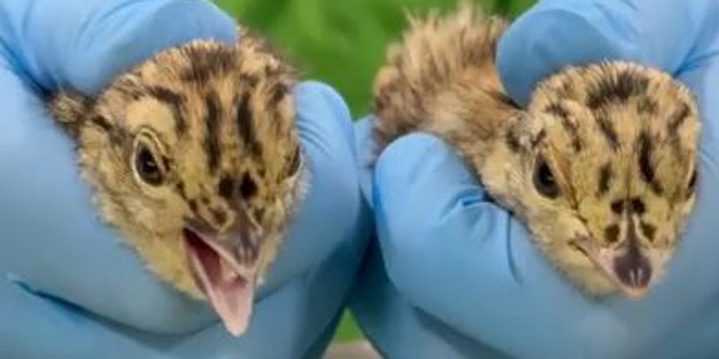 Budak sekolah telegram bokep i drove to the city the next