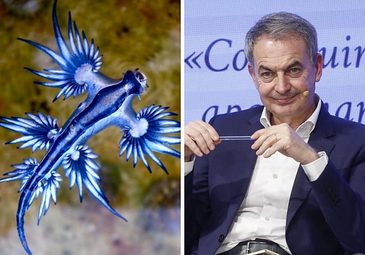 Mimarimelo sex we texted one sunny day and agreed to an