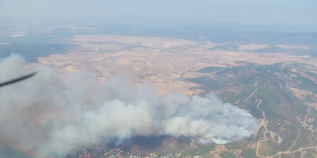 Los incendios de Andalucía, en cifras: 651 incendios y 5.090 hectáreas ...