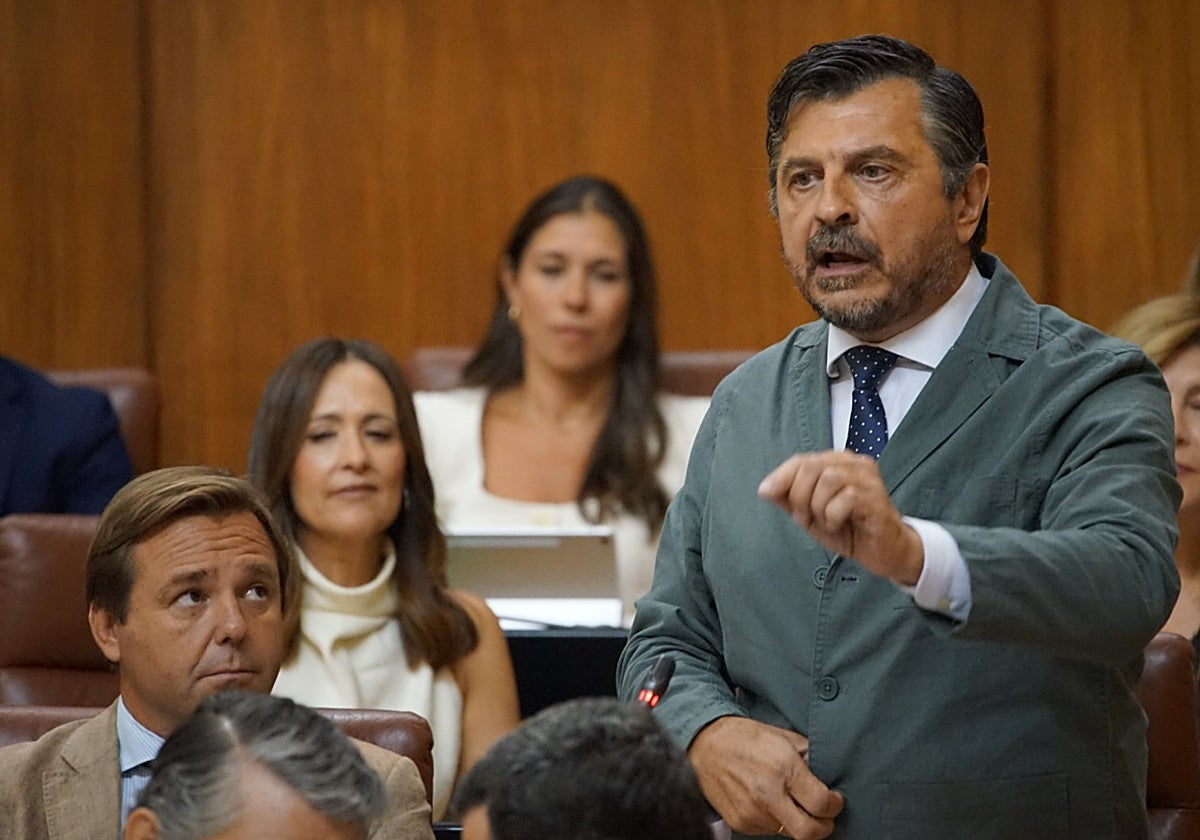 El PP-A aleja un adelanto electoral: «Si Moreno buscase un plebiscito ...