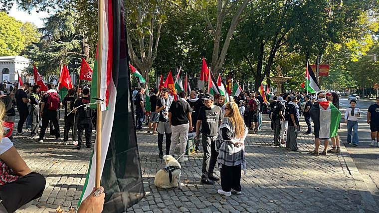 Manifestación pro-Palestina en Madrid sin presencia del PSOE
