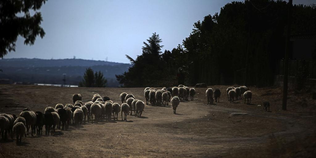 Agroterrorismo: el Gobierno pide «atención especial» ante la ...