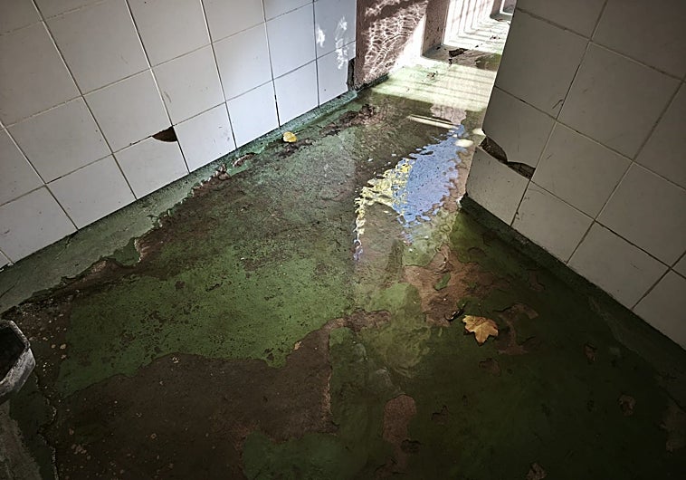 Los perros de la Guardia Civil, entre ratas y moho