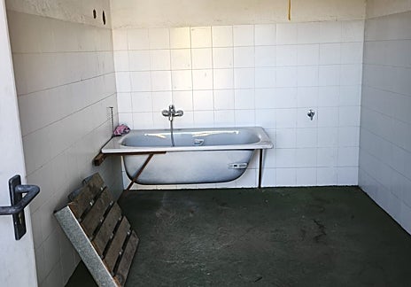 Los perros de la Guardia Civil, entre ratas y moho