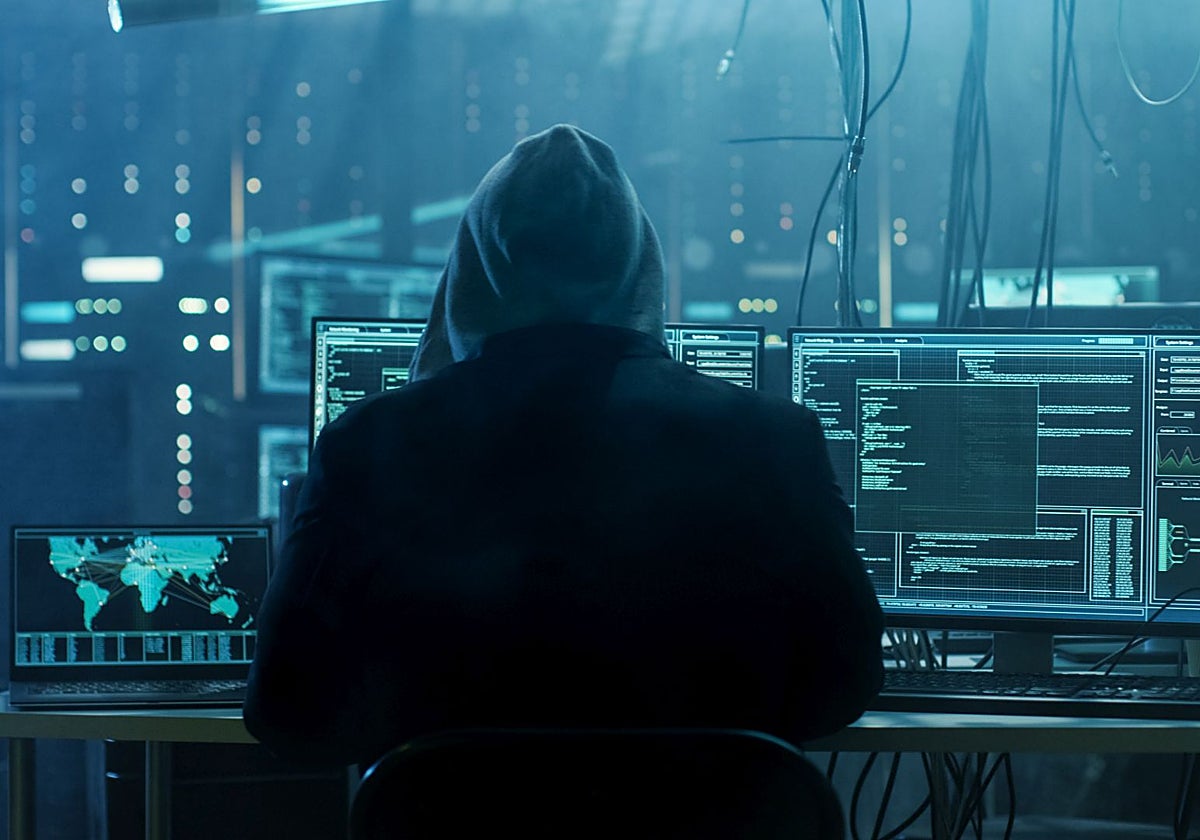 El hacker que atacó al Gobierno difunde datos personales de inspectores ...
