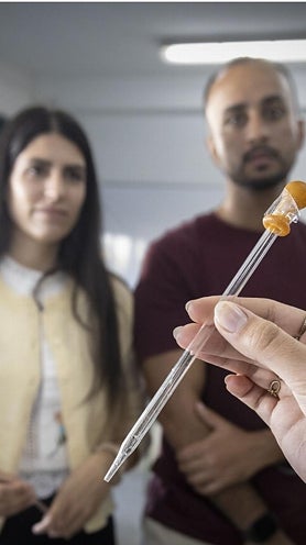 Sin laboratorio, alumnos de un instituto llevan órganos a casa y usan ...