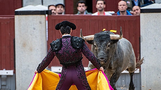 Toros, últimas noticias - ABC