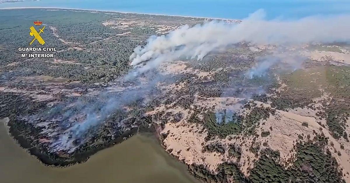 El incendio de Almonte afecta a 250 hectáreas y moviliza más de 120 ...