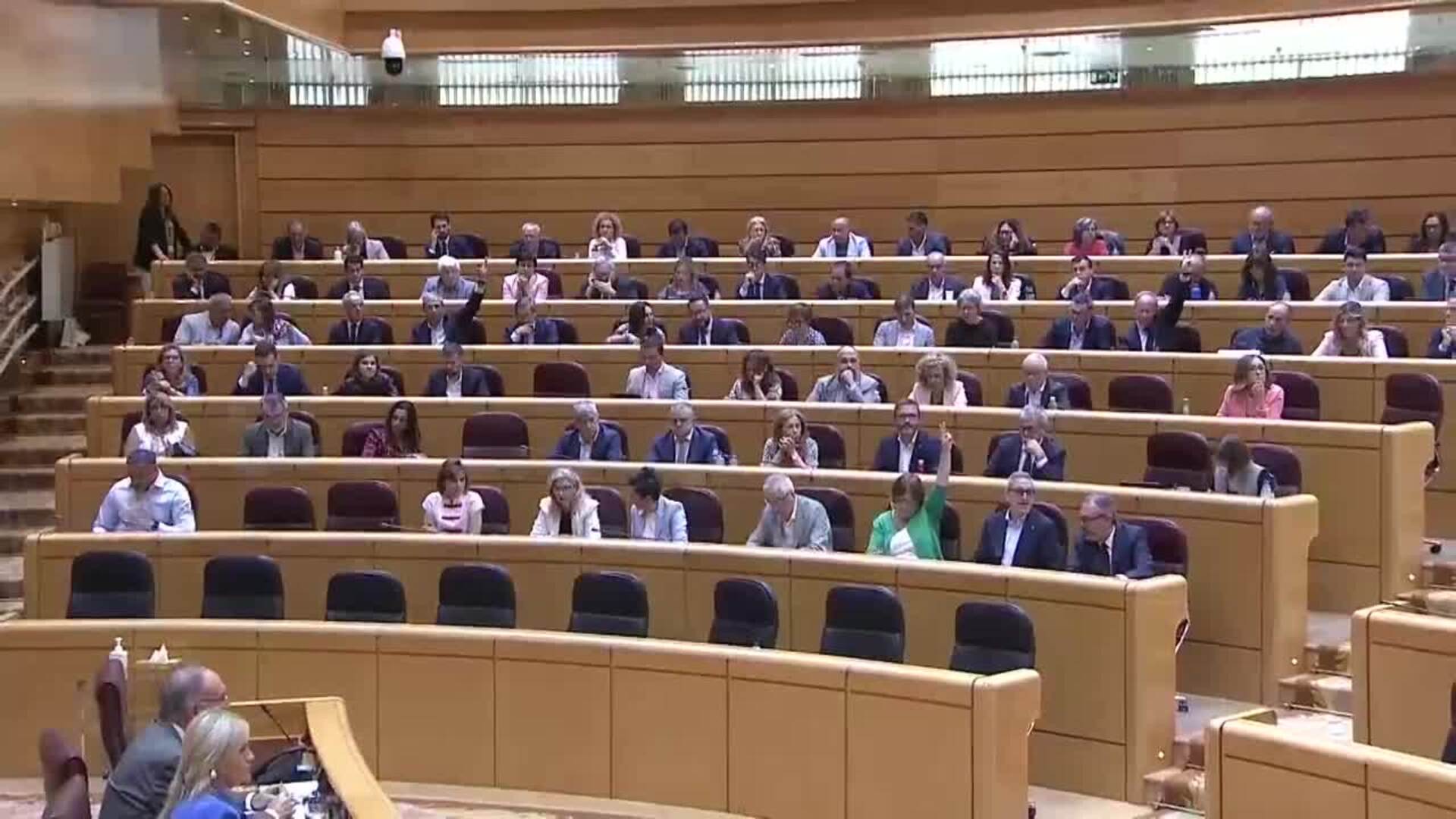 El Senado tramitará la ley de Vox para prohibir el burka y el nicab con ...