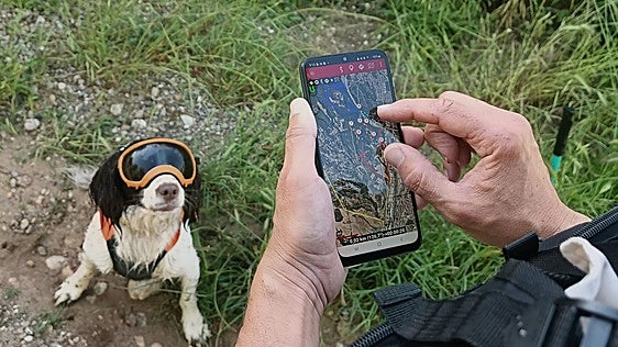 Perros, últimas noticias - ABC
