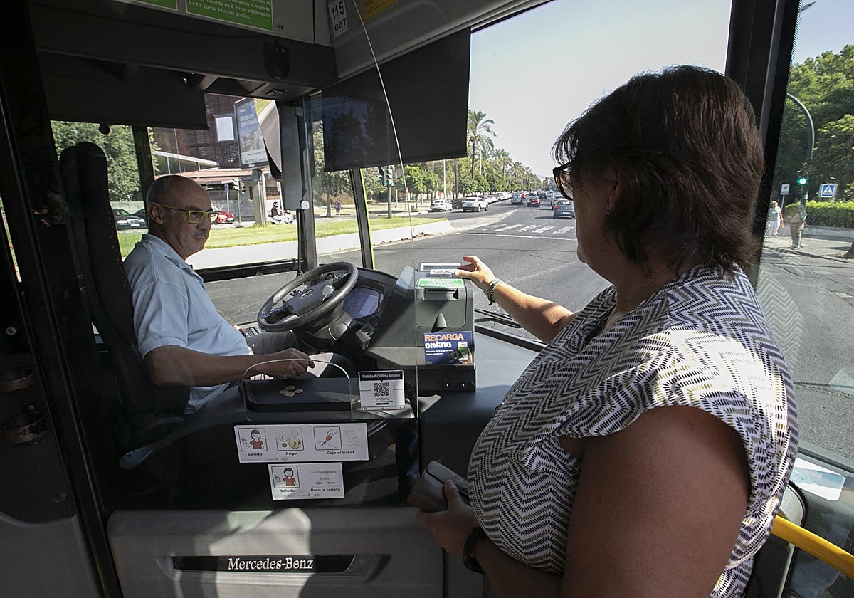 Desvíos en los autobuses de Córdoba por el Plan Asfalto: éstas son las ...