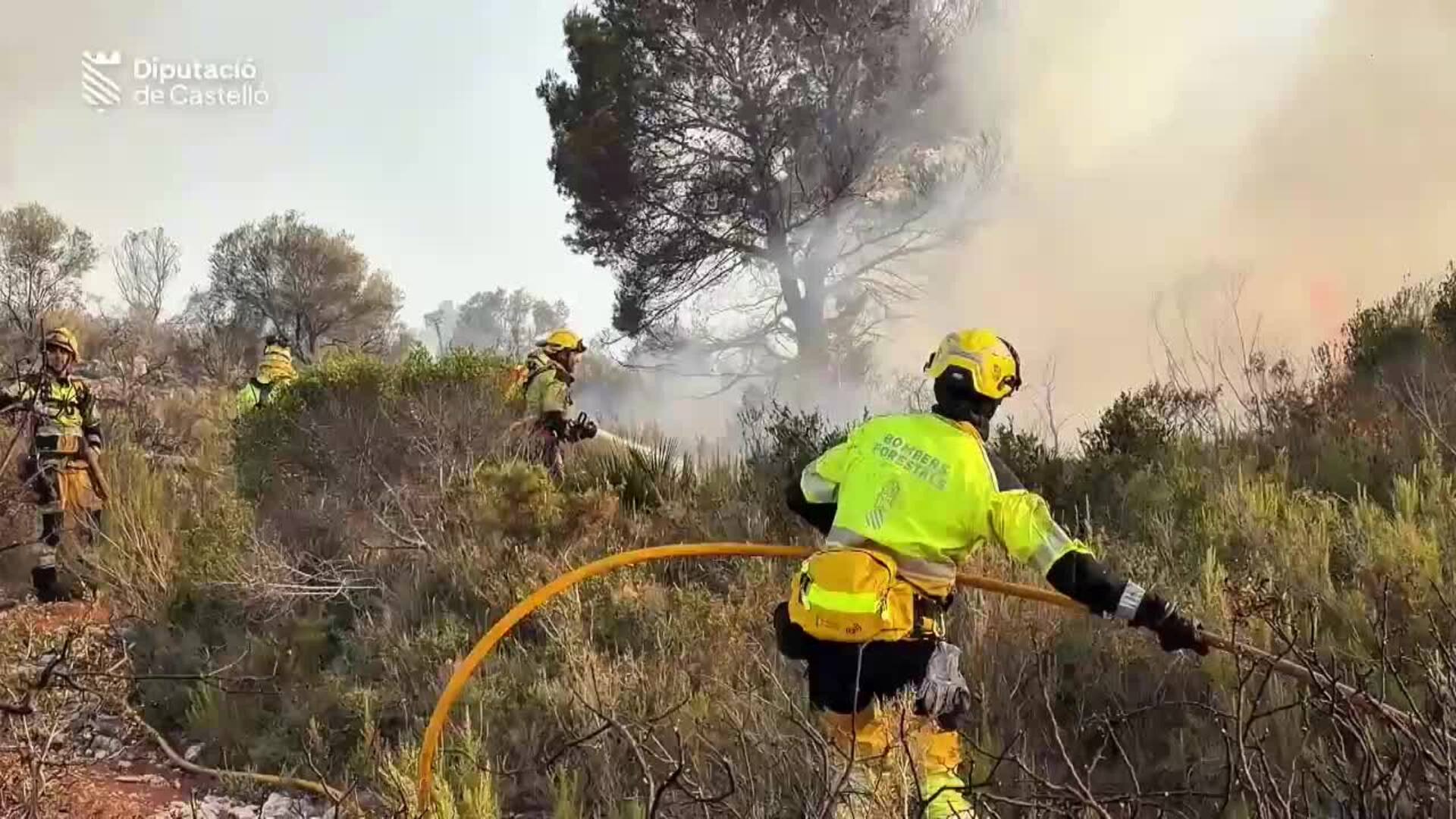 Extinguido el Incendio forestal en Benicarló (Castellón)