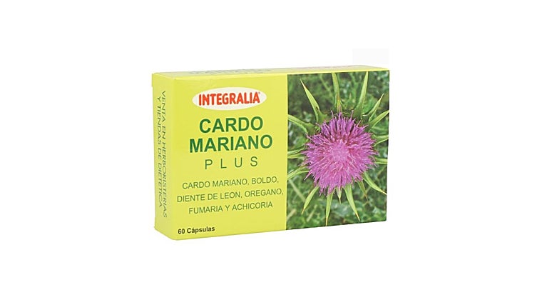 ¿Para qué sirve el cardo mariano? Propiedades, beneficios y dónde comprarlo