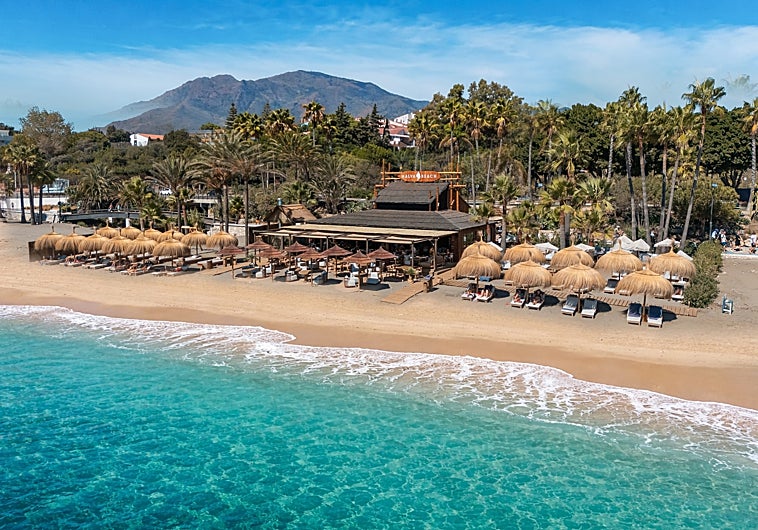 Pescados, mariscos y brasas: así es la propuesta de Malva Beach en Estepona