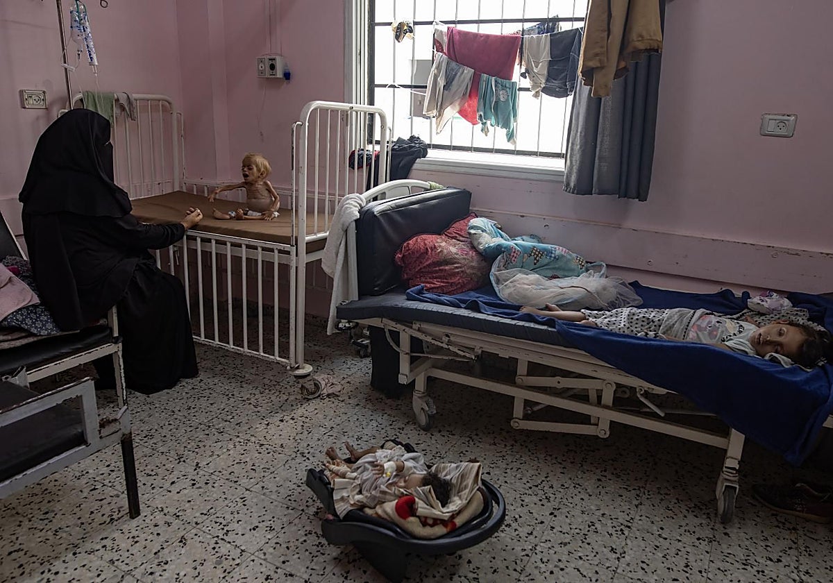 Rein Paulsen: «La hambruna en Gaza es una tormenta perfecta de ...