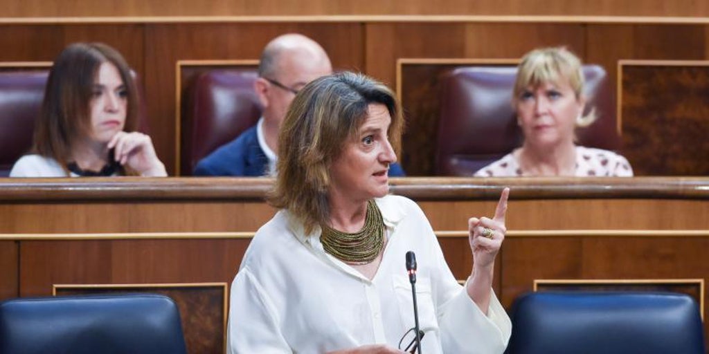 Ángel Expósito: ¿Qué puede salir mal?