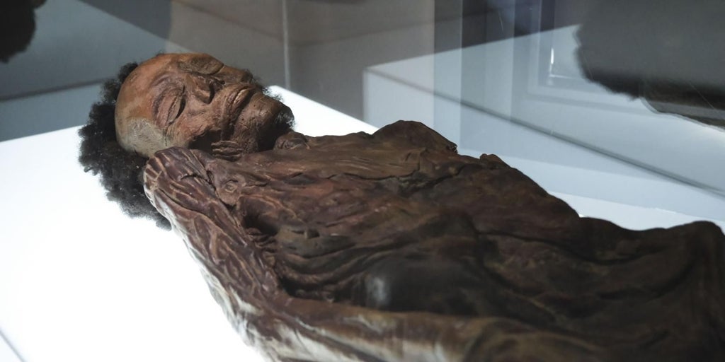 Ramón Palomar: Proyecto de momia
