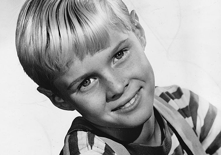 Muere a los 73 años el actor Jay North, conocido por su papel como ...