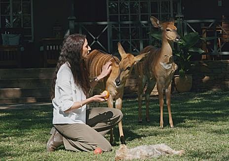 TVE sustituye a Buenafuente por la 'Dra. Fabiola Jones', la veterinaria ...