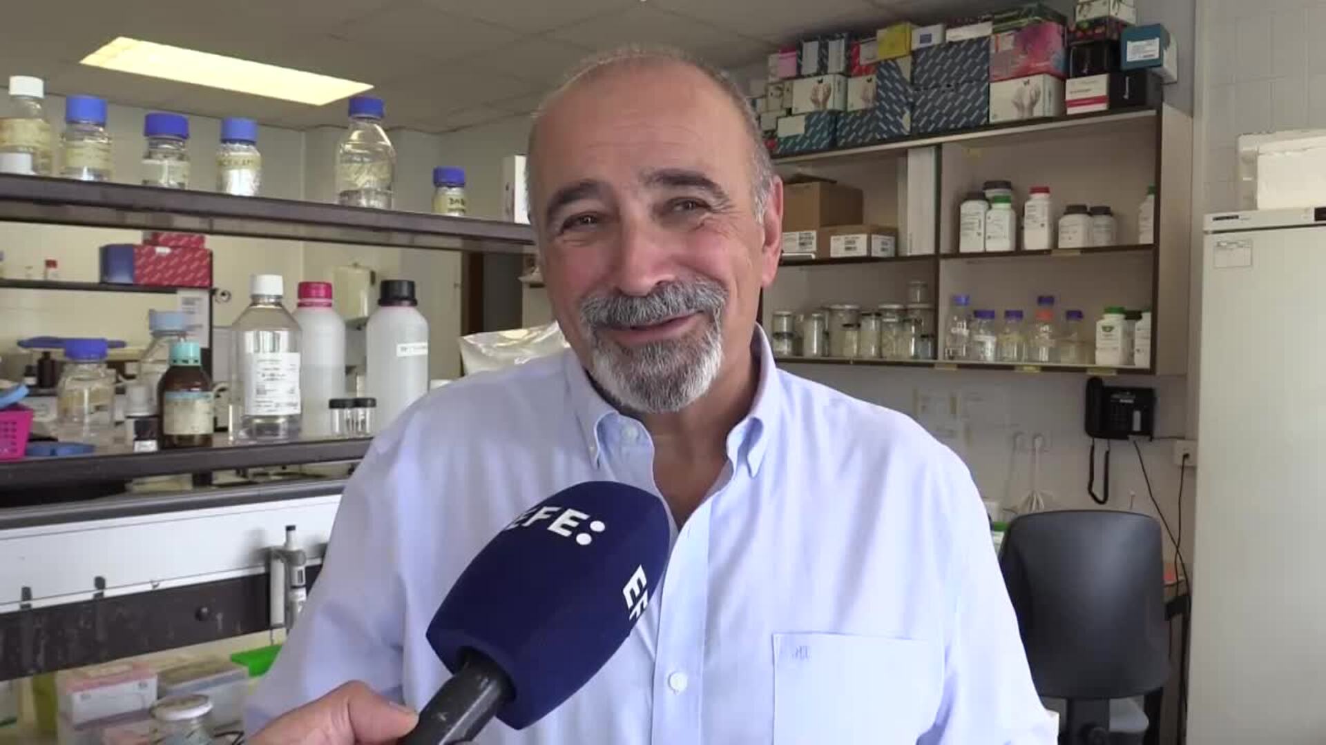 La microbiota intestinal, un 'segundo cerebro' que cuida de nuestra ...