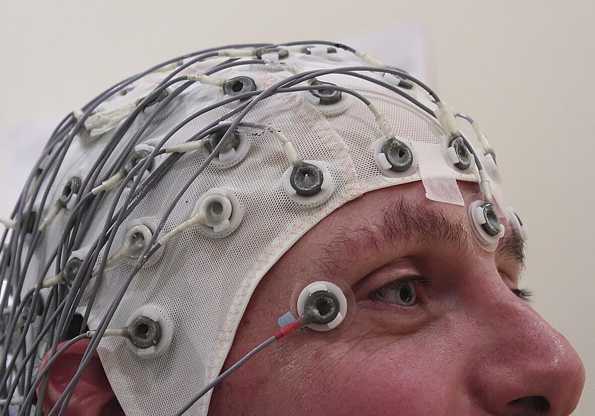 Senoterapia, limpiar el cerebro de células envejecidas para tratar la ...