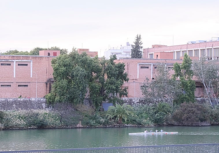El nuevo Altadis abrirá a finales de 2025 pese al frenazo de la pasarela