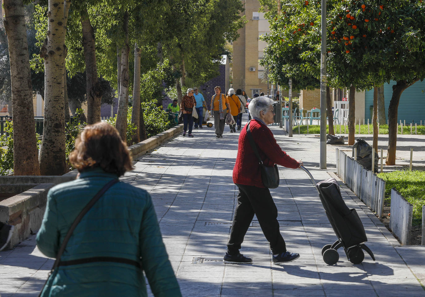 Pino Montano, un barrio sevillano con costumbres de antaño, en imágenes