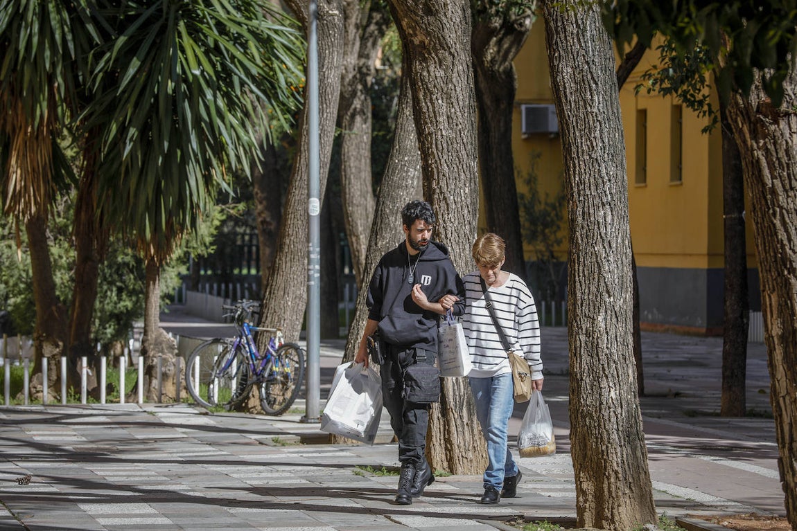 Pino Montano, un barrio sevillano con costumbres de antaño, en imágenes
