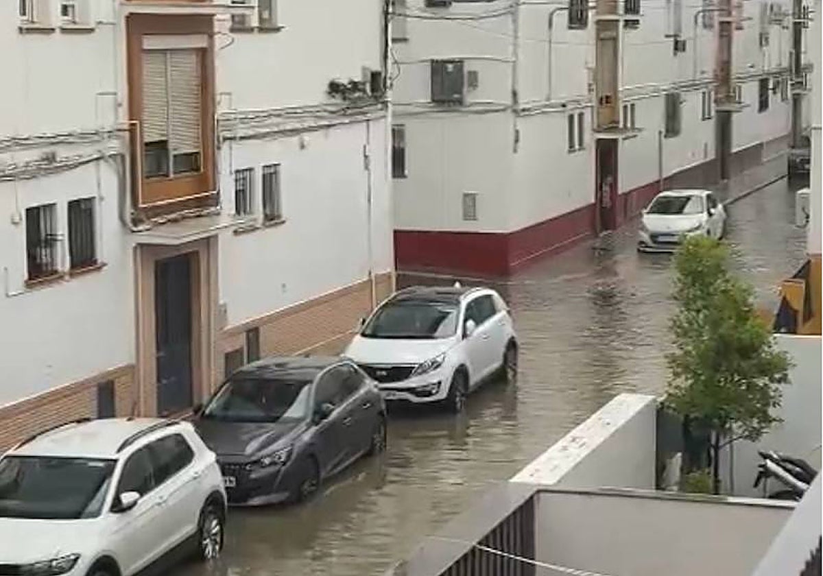 La lluvia provoca inundaciones y caídas de árboles en varios barrios de ...