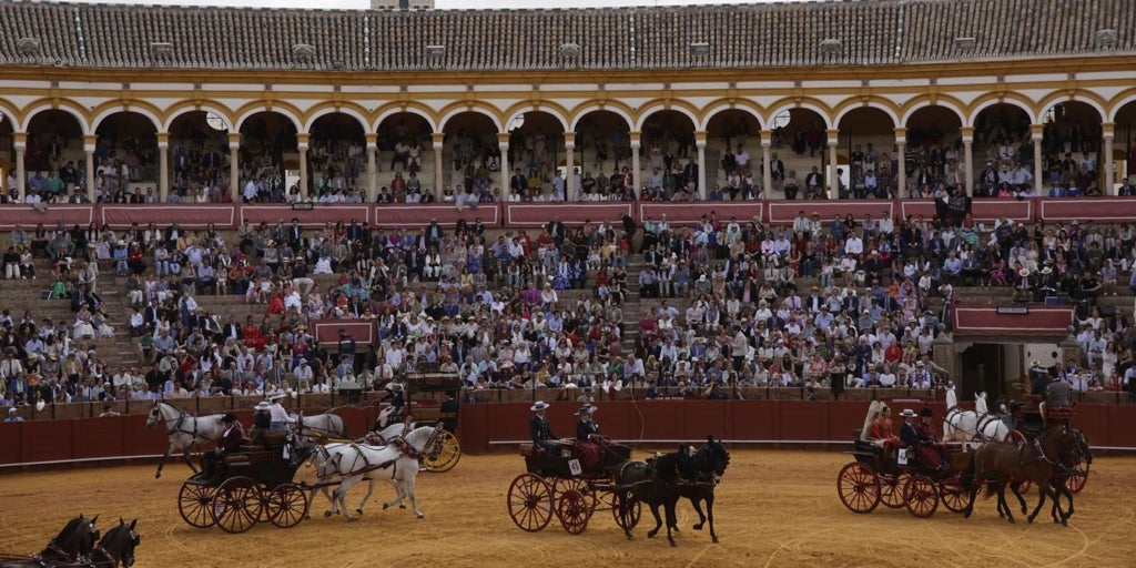 XXXIX EXHIBICIÓN DE ENGANCHES DE SEVILLA: Una pasarela del color y la ...
