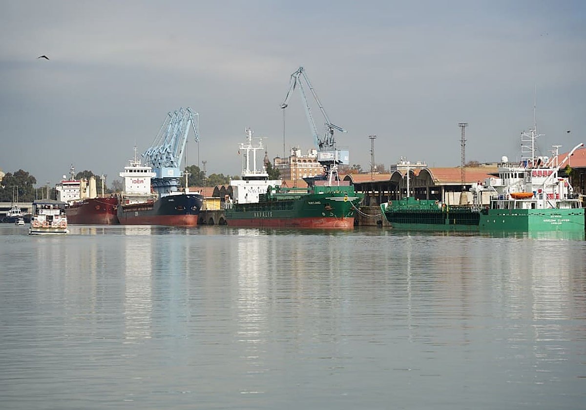 Jornada récord de tráfico en el Puerto de Sevilla con 18 buques ...