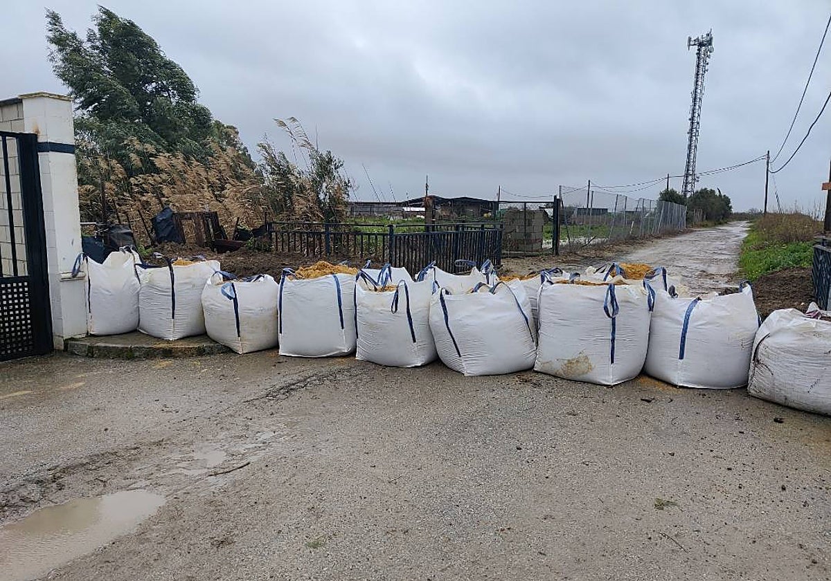 Desalojan de manera preventiva a 11 personas en El Palmar de Troya ante ...