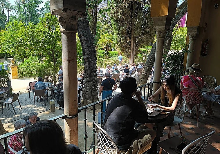Patrimonio aplaude el proyecto de la nueva cafetería del Alcázar de ...