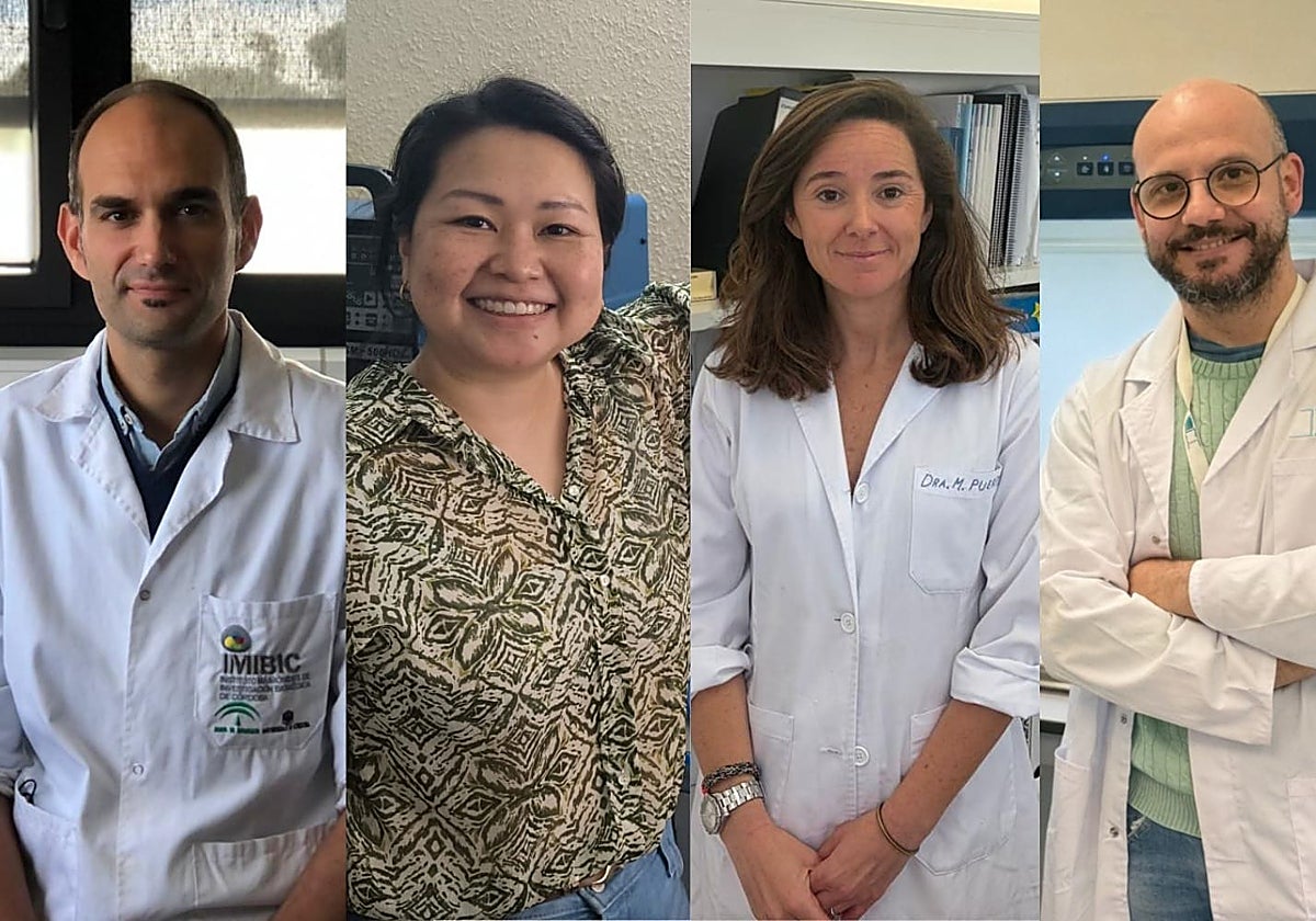Los investigadores Manuel Gahete, Jia Yan, Víctor Carrión y María ...