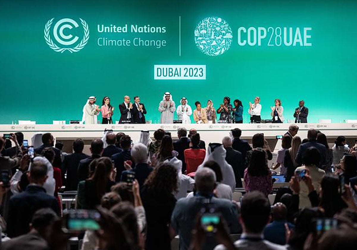 Bruna Cañada: La elusión de responsabilidades: un freno para la acción ...