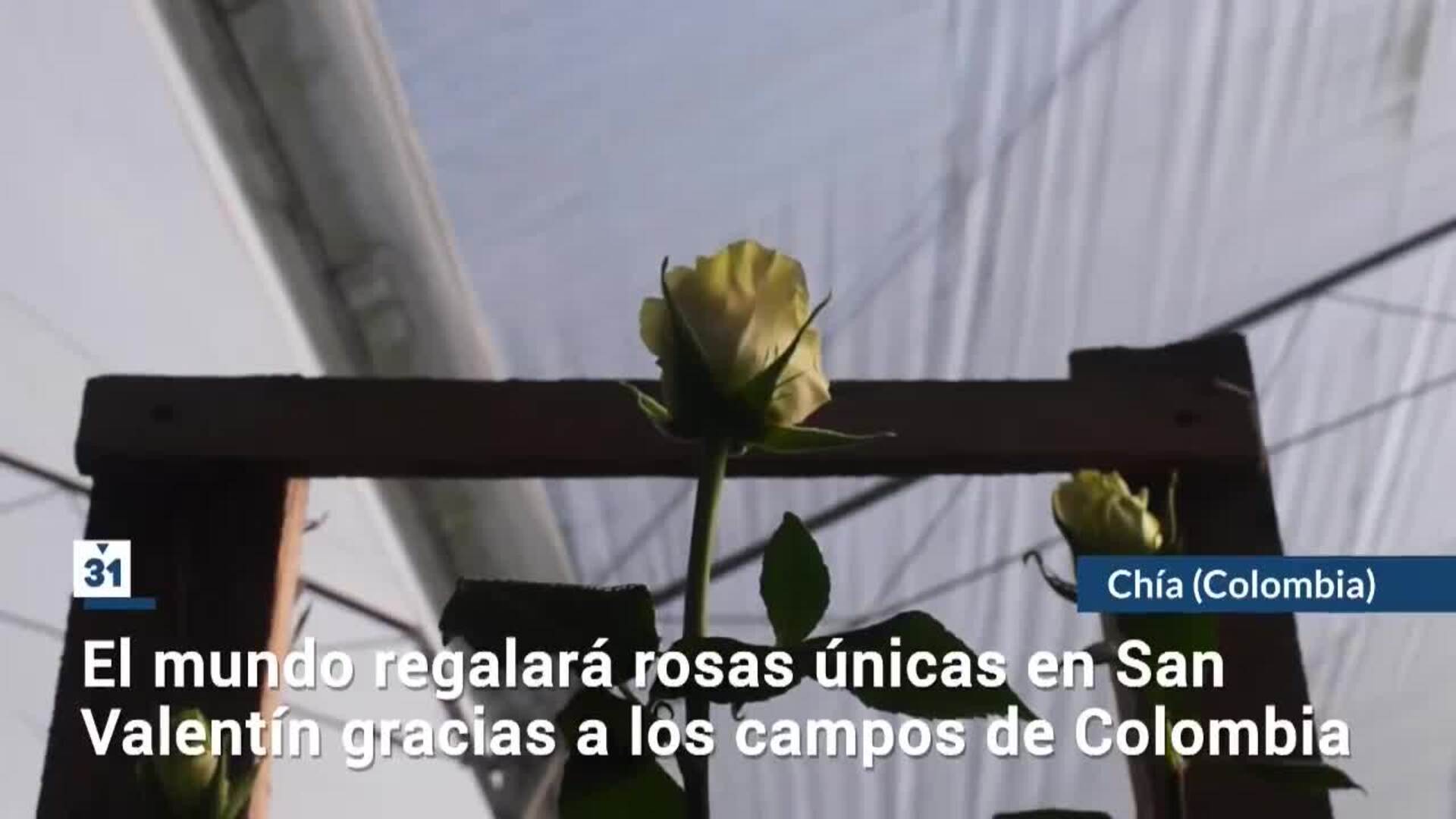 América al día en 60 segundos lunes 12 de febrero