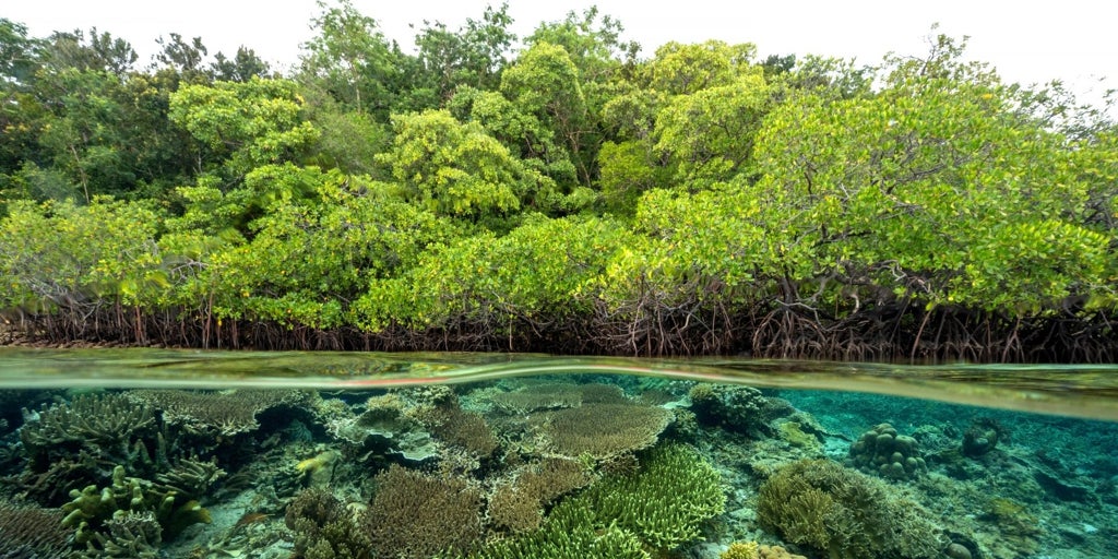 The nature crisis puts more than 50% of the world's GDP at risk ...