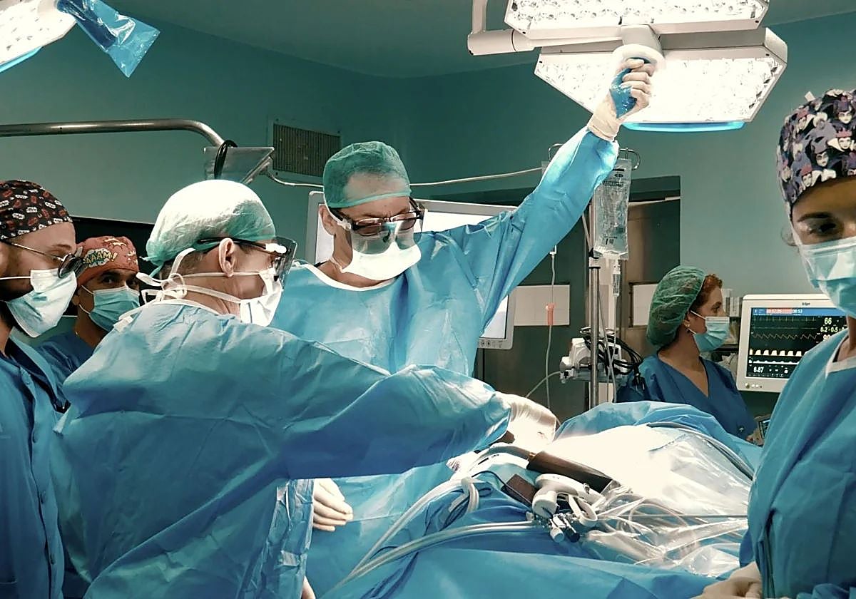 Sanidad legaliza la donación de órganos entre personas con VIH