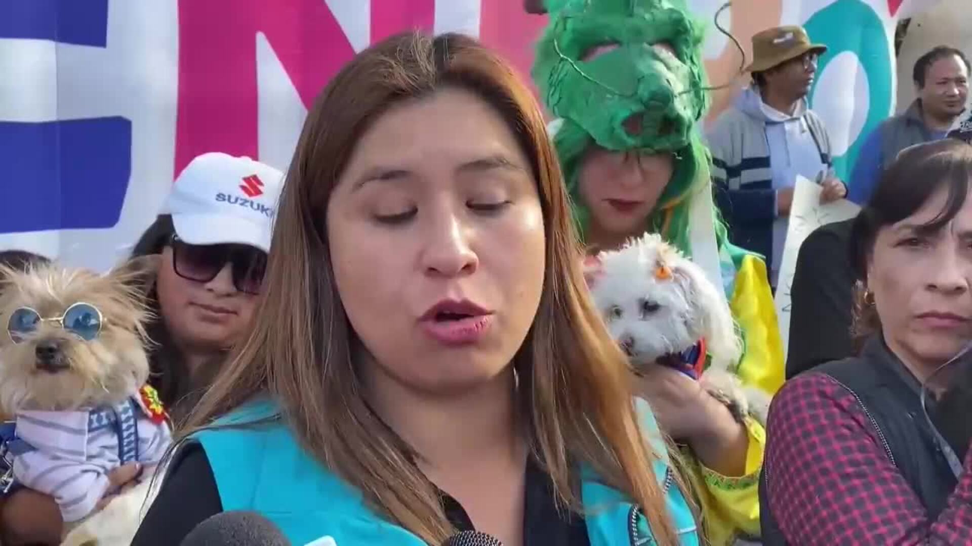 Bolivia adelanta el festejo del Día del Perro y celebra 'Patitas del ...