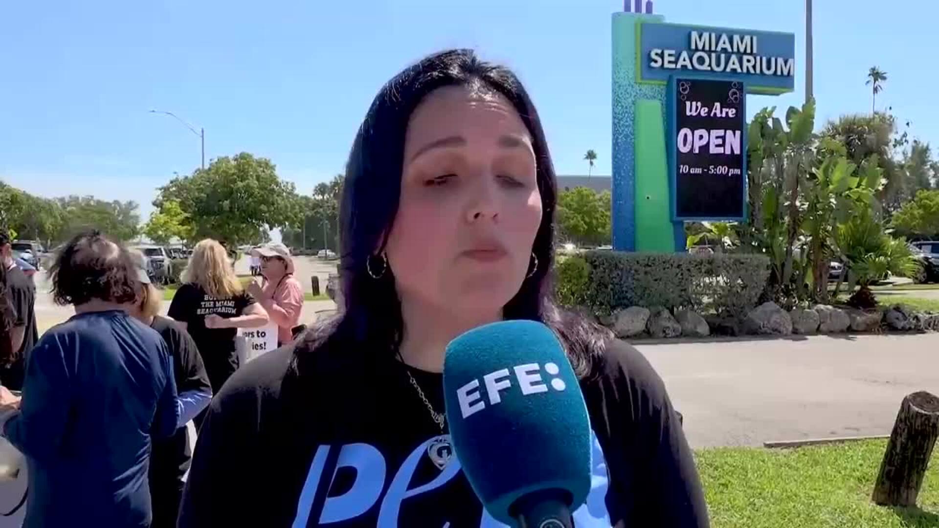 PETA advierte que SeaWorld será "el próximo en cerrar" tras el fin de ...