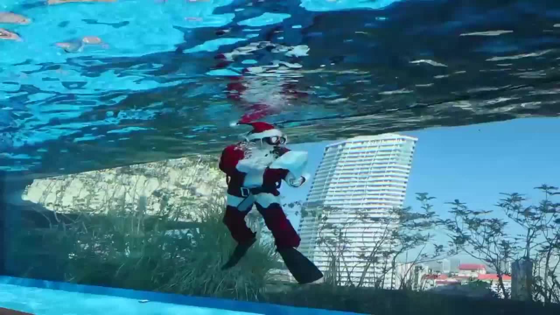 El acuario Sunshine de Tokio celebra la navidad con un espectáculo con ...