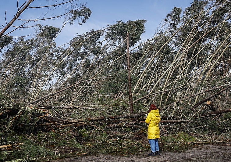 Portugal se prepara para el envite de otro temporal que también ...