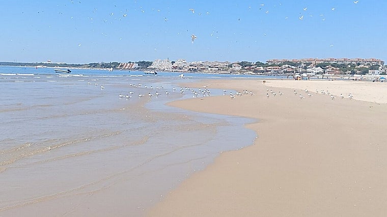 Las 10 playas más bonitas cerca de Sevilla y fáciles de llegar en coche